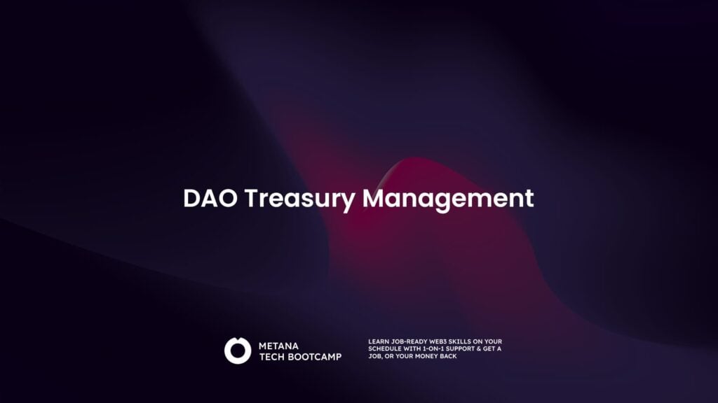 DAO Treasury Management - Metana