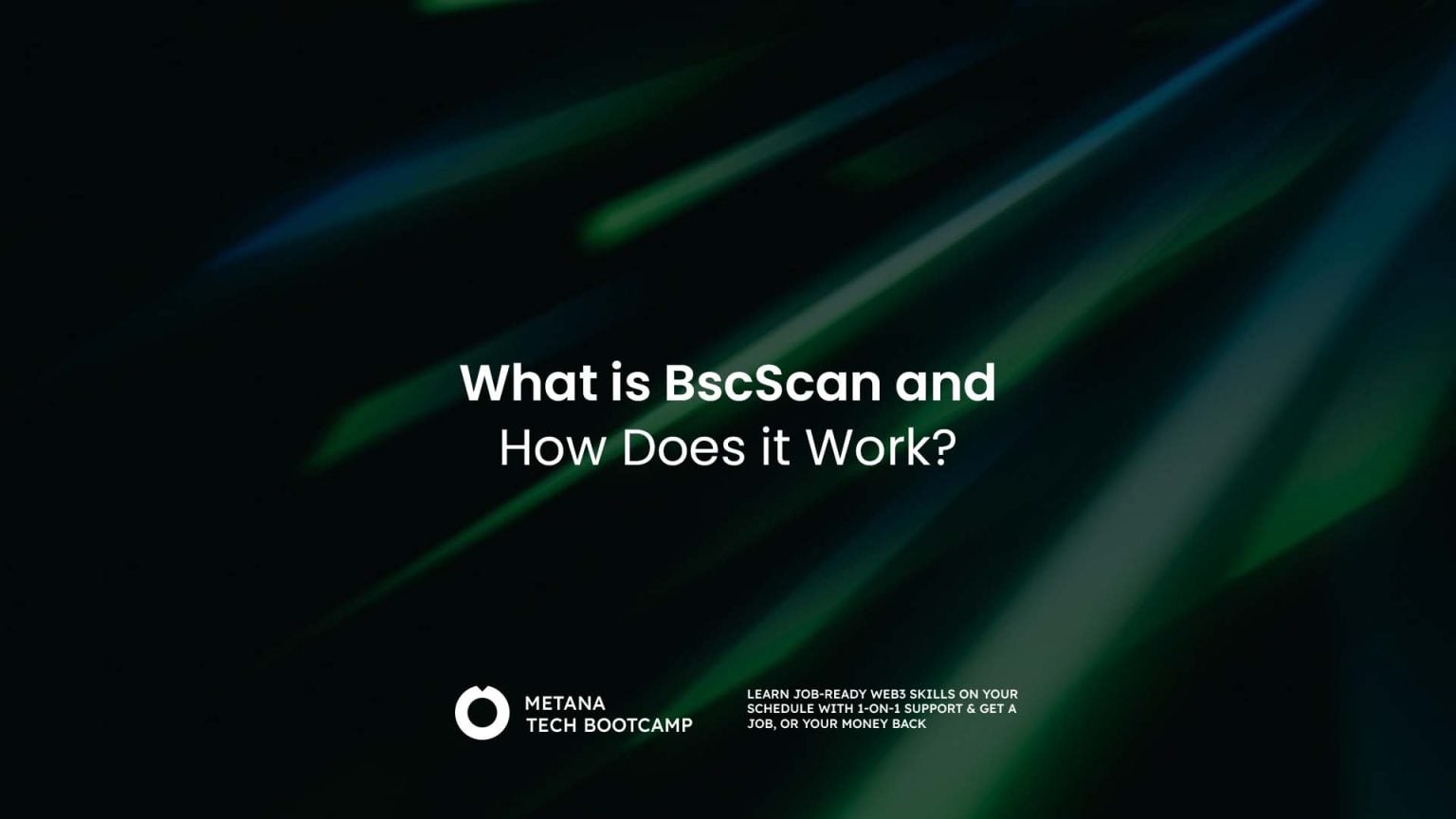What is BscScan and How Does it Work? - Metana