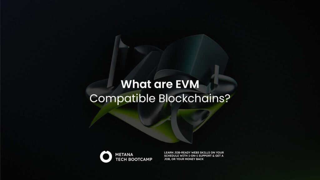 What are EVM Compatible Blockchains? - Metana