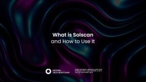 What is Solscan and How to Use It - Metana